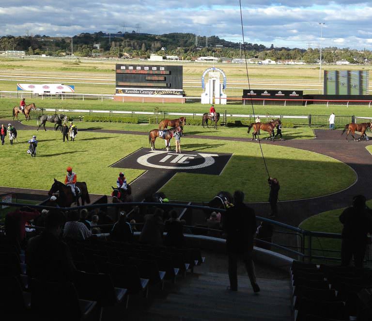 Kembla Grange Races Normie 041 (2) - South Coast Journeys